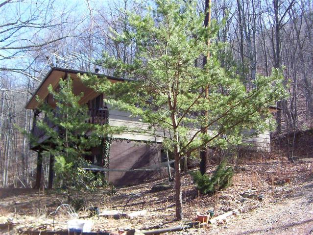 119 PINNACLE MOUNTAIN RD, LEICESTER NC 28748 - Buncombe County Tax Lookup